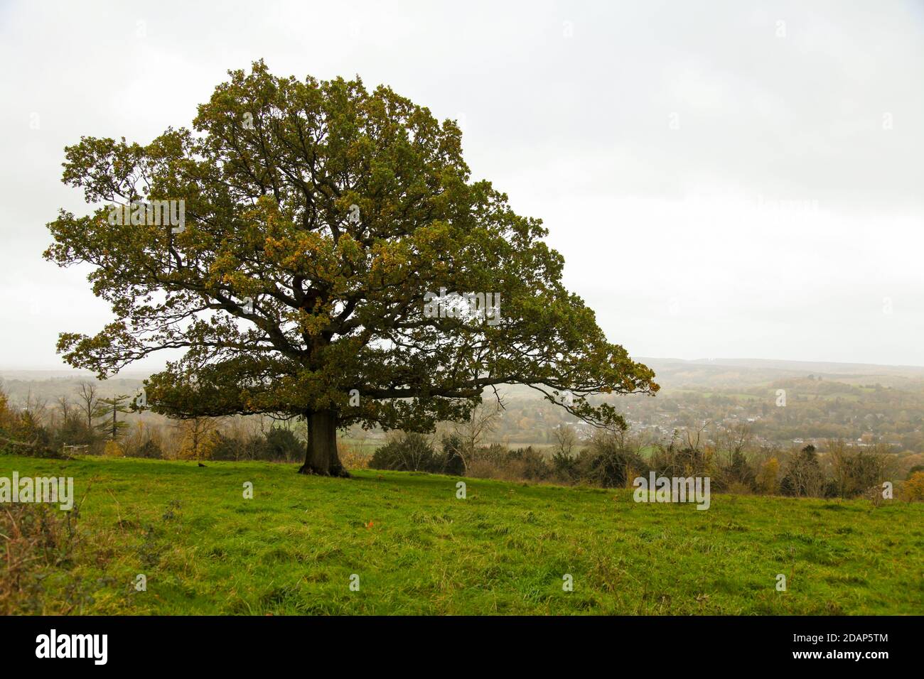 Denbies hillside scenic hi-res stock photography and images - Alamy