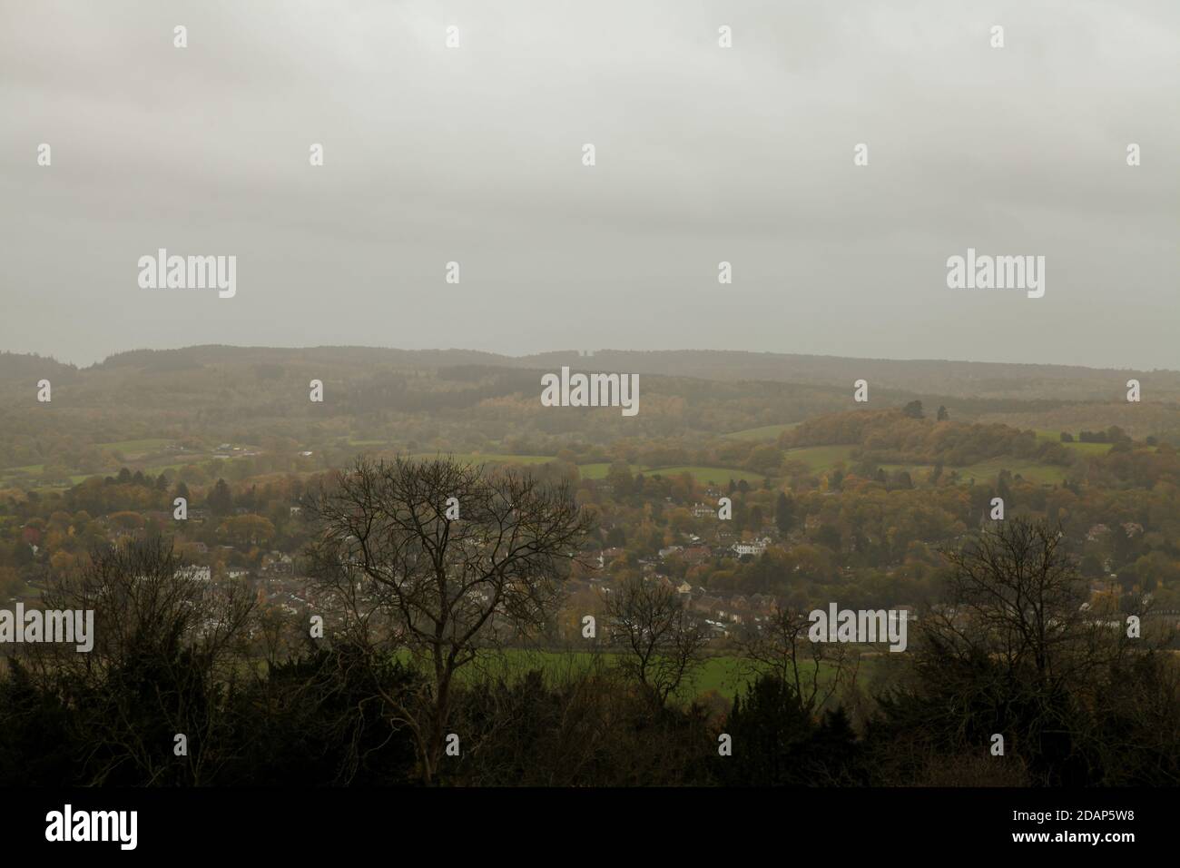A scenic view from Denbies Hillside, misty, Surrey Hills, England, UK ...