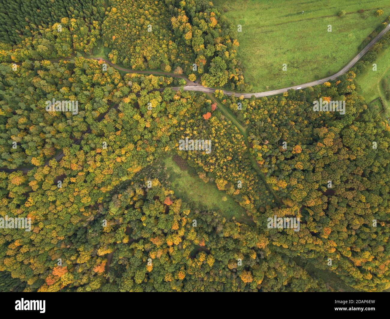 Aerial shot of an autumn rainforest Stock Photo - Alamy