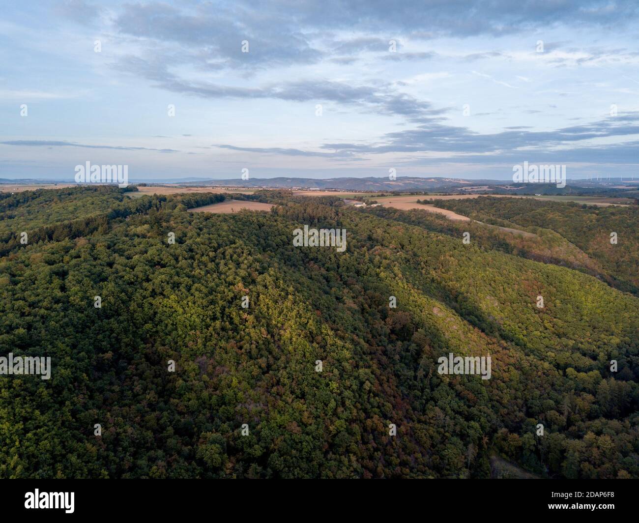 Aerial shot of an autumn rainforest Stock Photo - Alamy