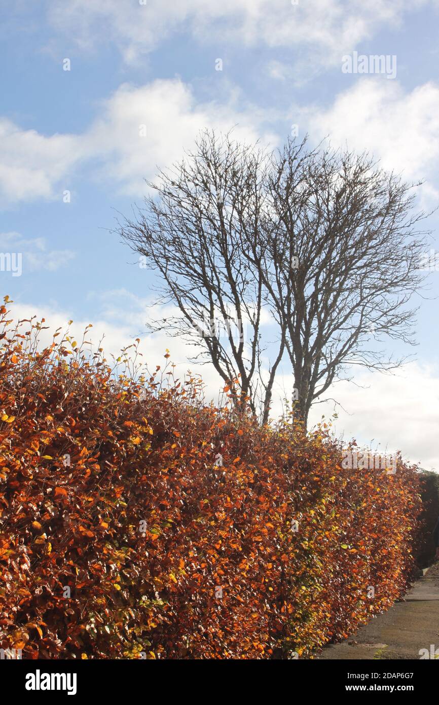 Always changing shapes hi-res stock photography and images - Alamy