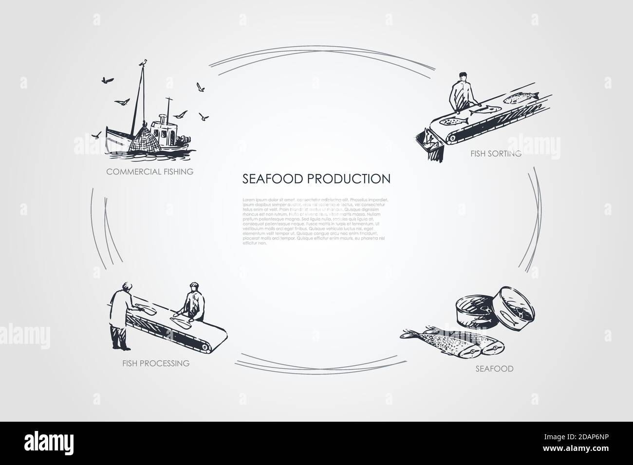 Seafood production - commercial fishing, fish sorting, seafood, fish ...