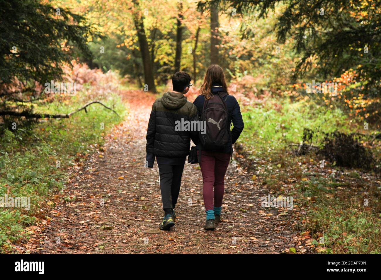 Mother and son countryside walk, Autumn at Ranmore Common Walk, Surrey ...