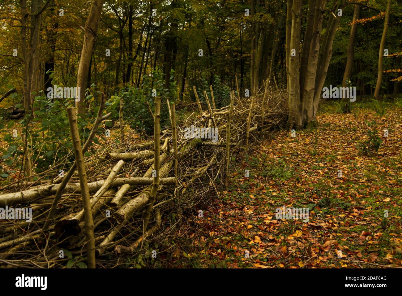 Traditional Fencing High Resolution Stock Photography and Images - Alamy