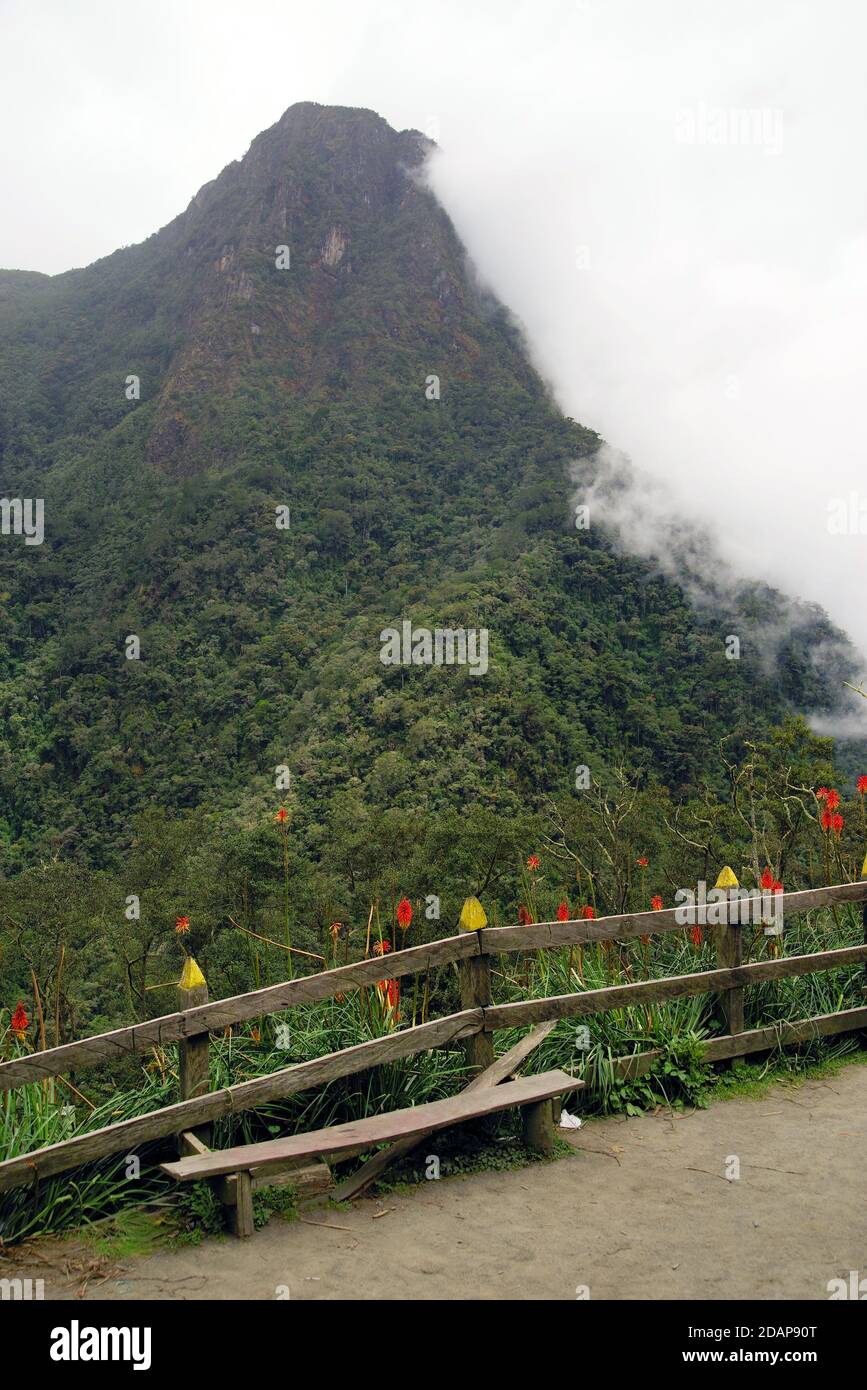 Alpine landscape Cordiliera Central, Colombia, South America Stock ...
