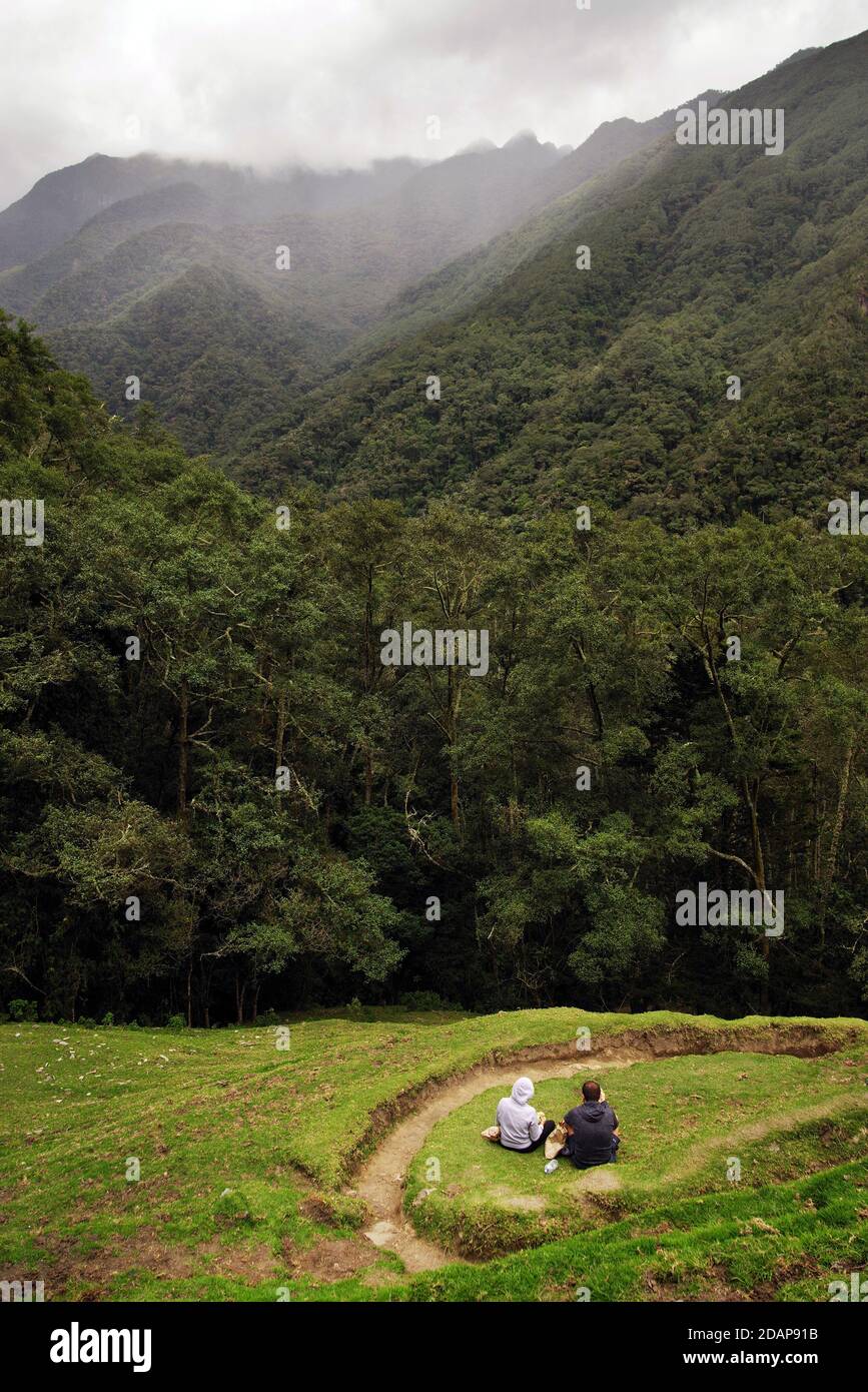 Alpine landscape Cordiliera Central, Colombia, South America Stock ...