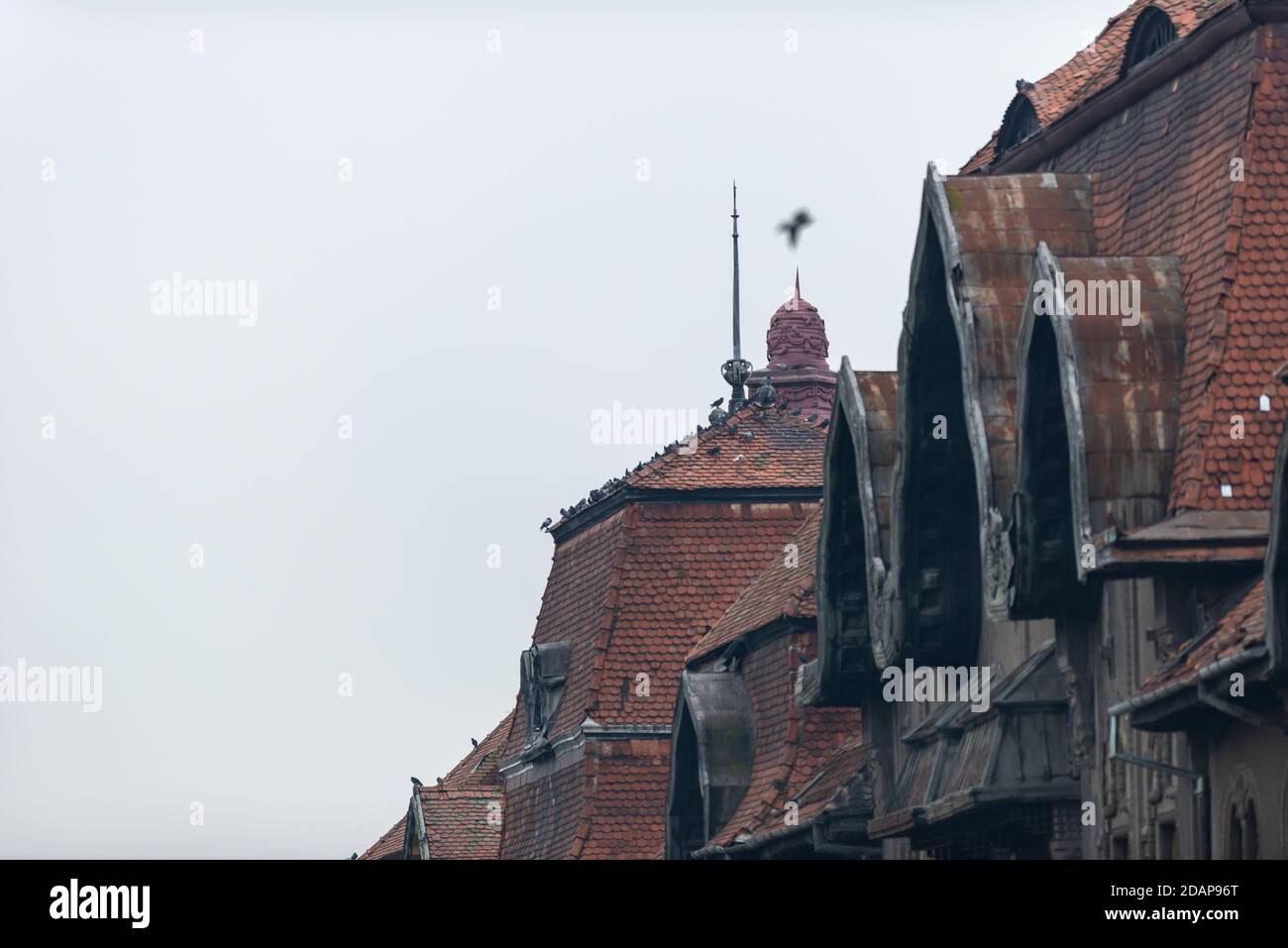 Details of old roofs of historic buildings Stock Photo - Alamy