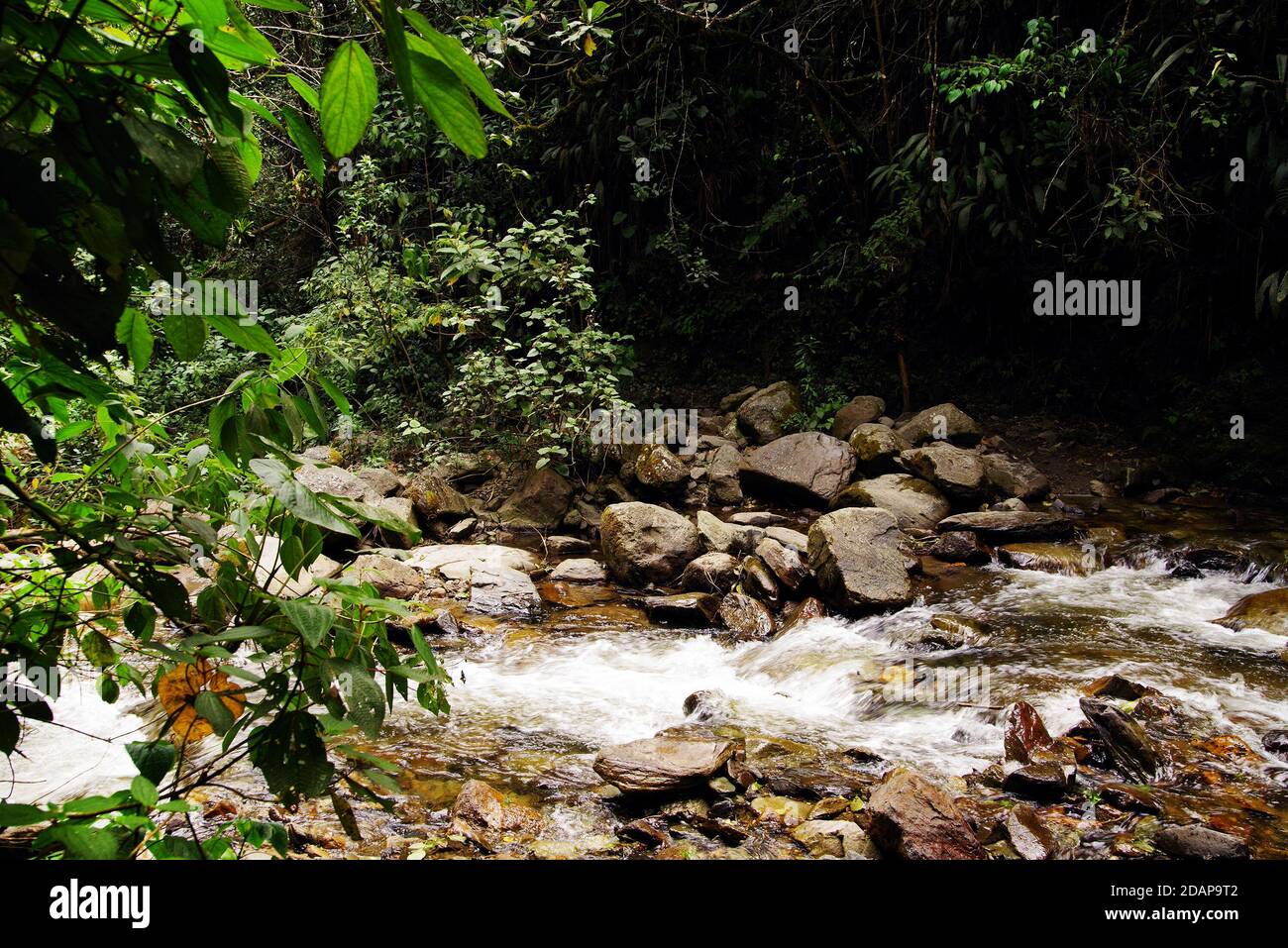 Scenic alpine landscape of Cocora valley, Salento, Colombia, South ...
