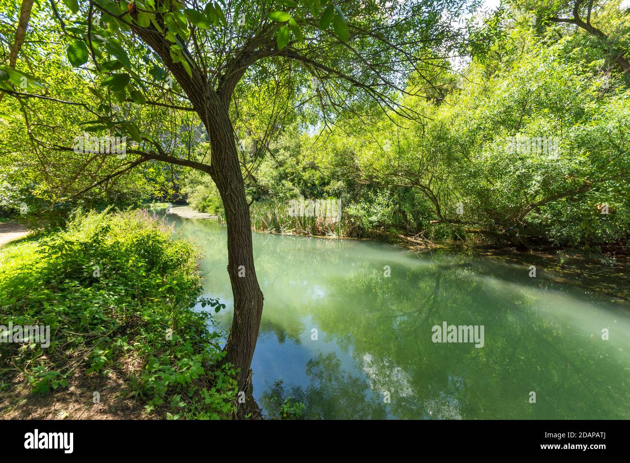 Panega hi-res stock photography and images - Alamy
