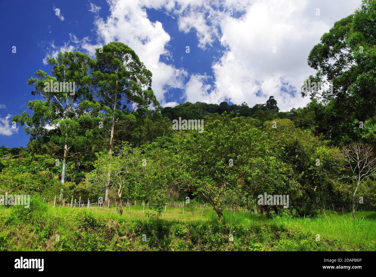 Manizales sunset hi-res stock photography and images - Alamy