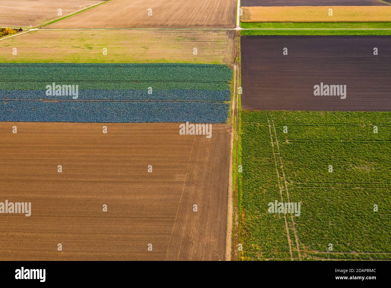 Agriculture in Germany photographed from above can be art Stock Photo ...