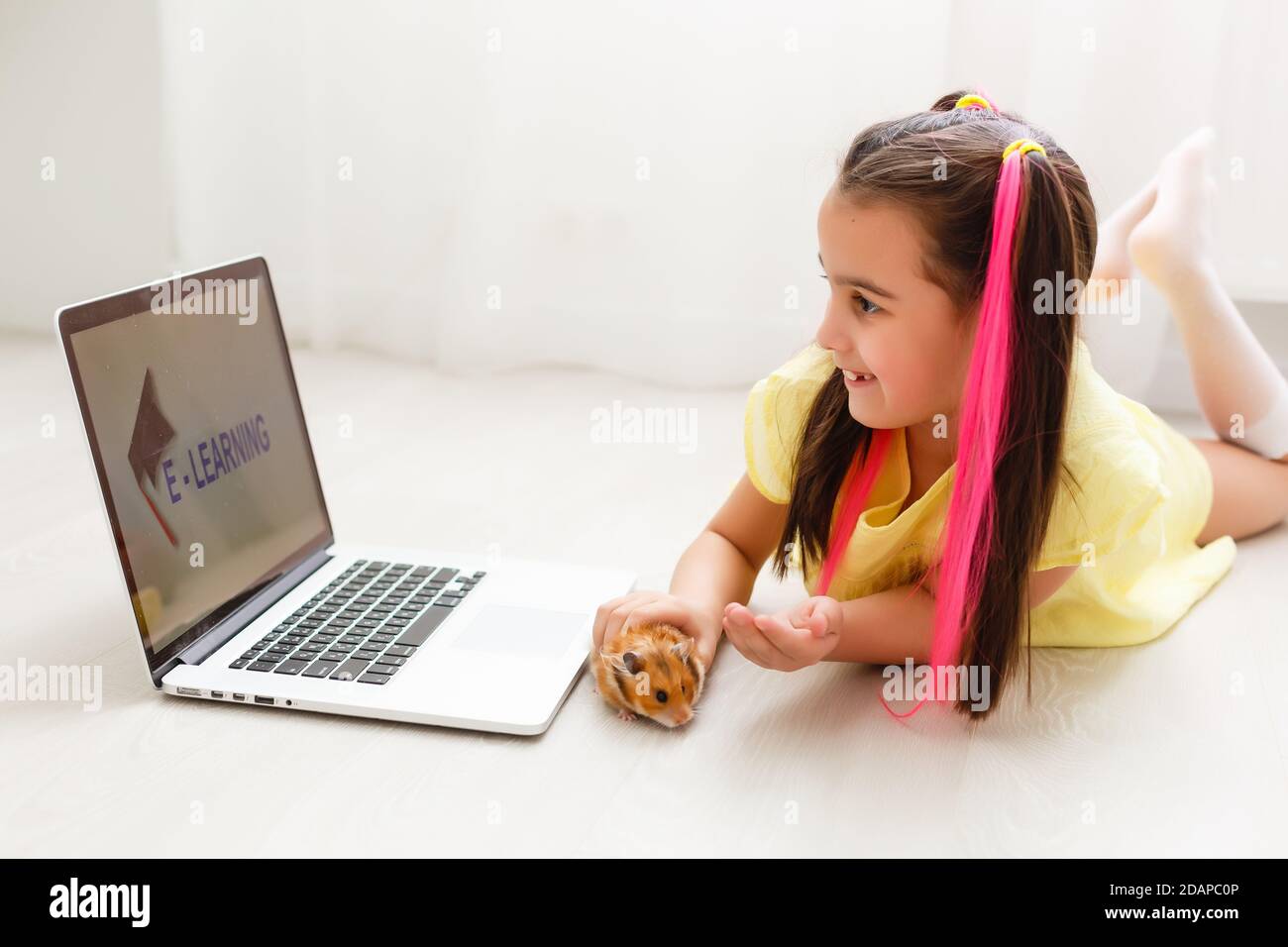 Cheerful young little girl with a pet hamster using laptop computer ...