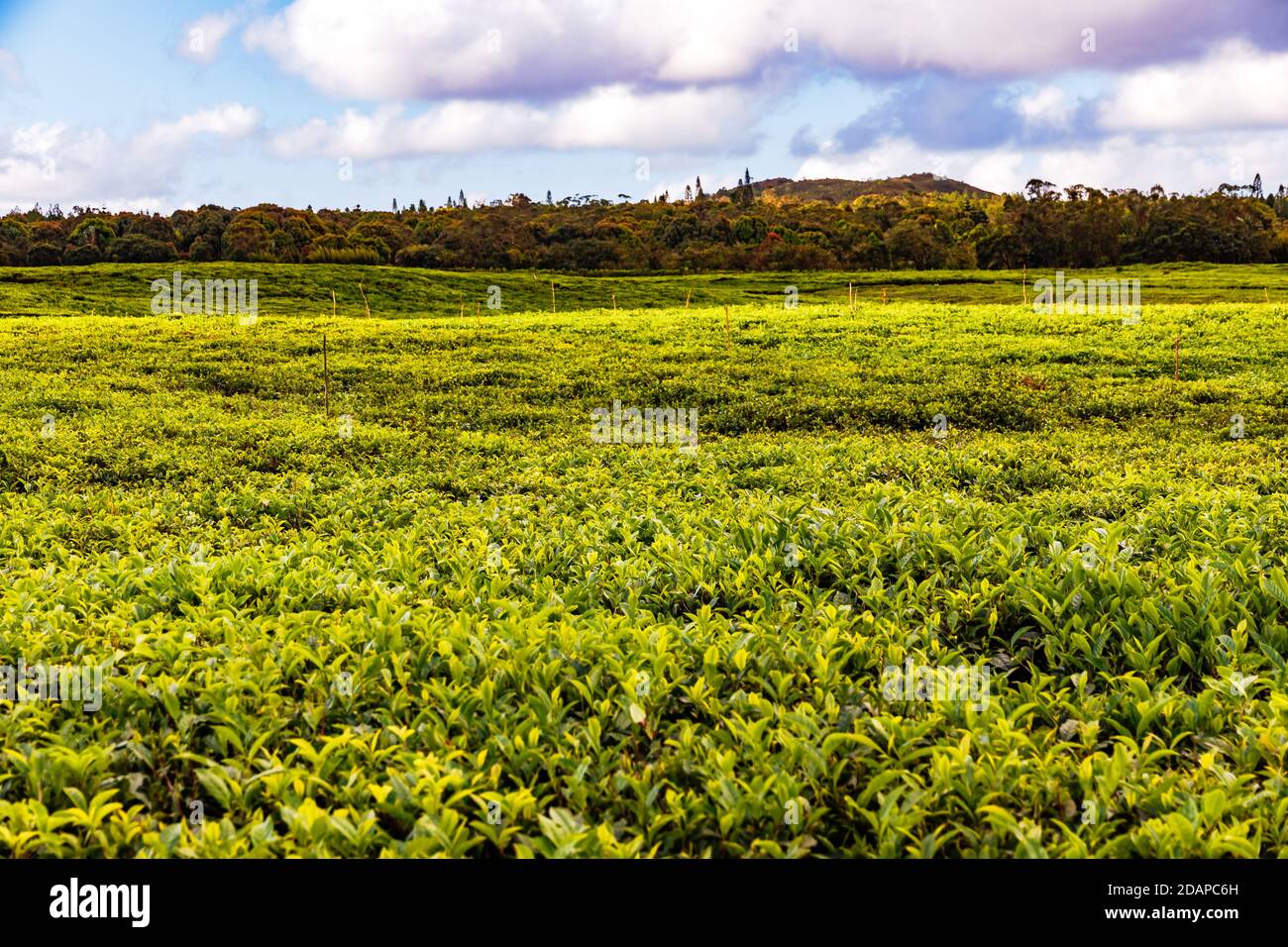 Indian ocean trade hi-res stock photography and images - Alamy