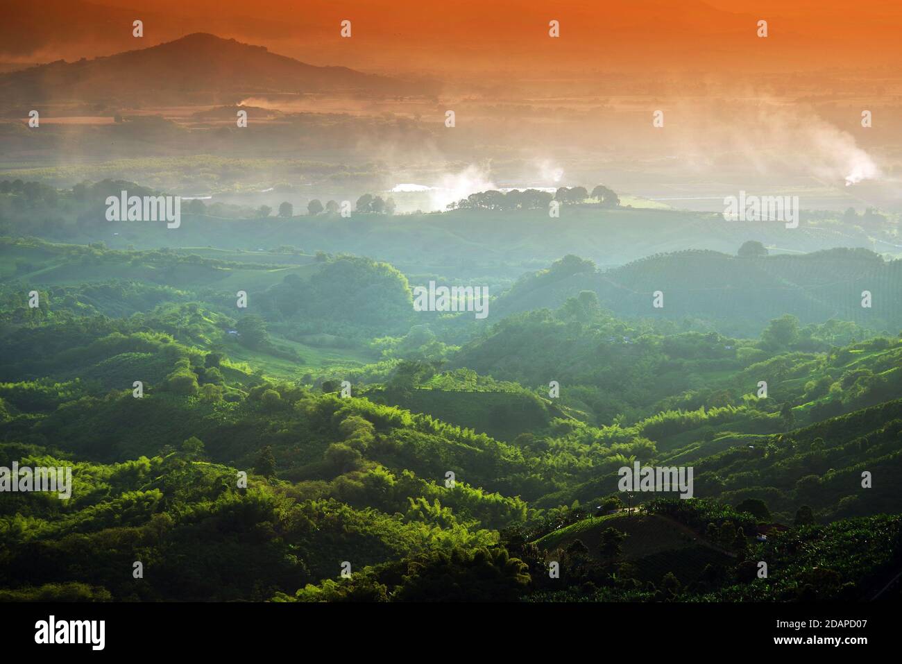 Hills covered in coffee and banana plantations near Buenavista ...