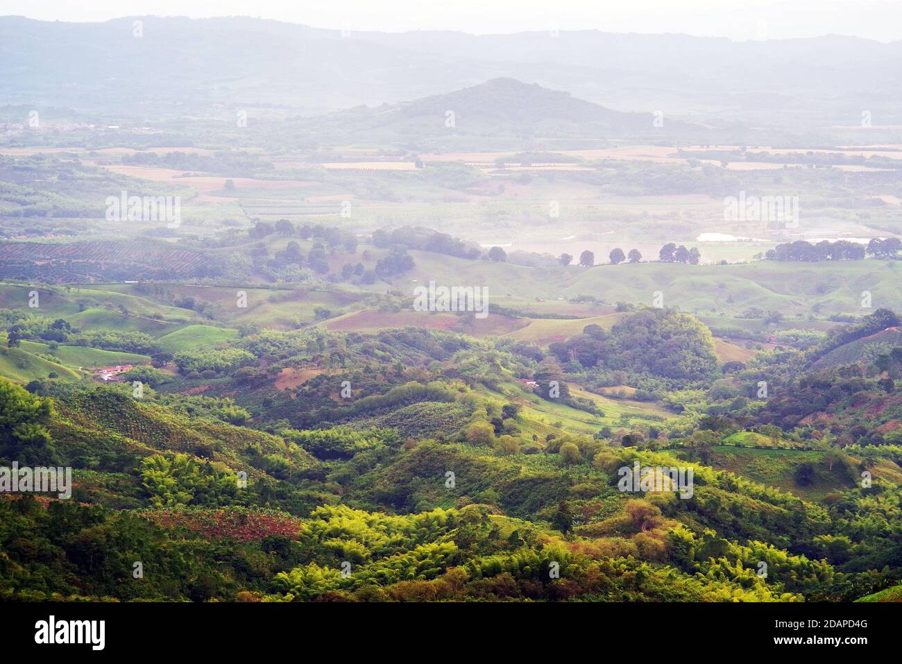 Hills covered in coffee and banana plantations near Buenavista ...