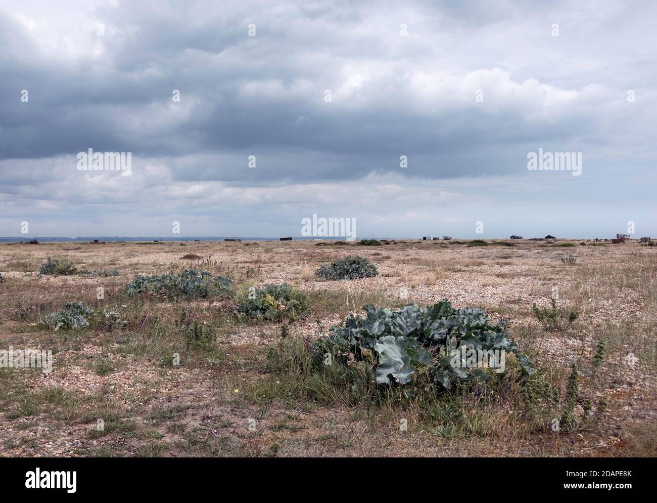 Stark landscape hi-res stock photography and images - Alamy