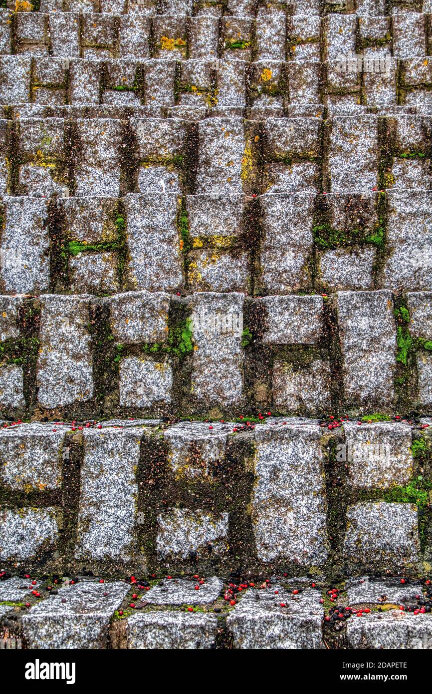 Background. Texture. Traditional granite pavers Stock Photo - Alamy