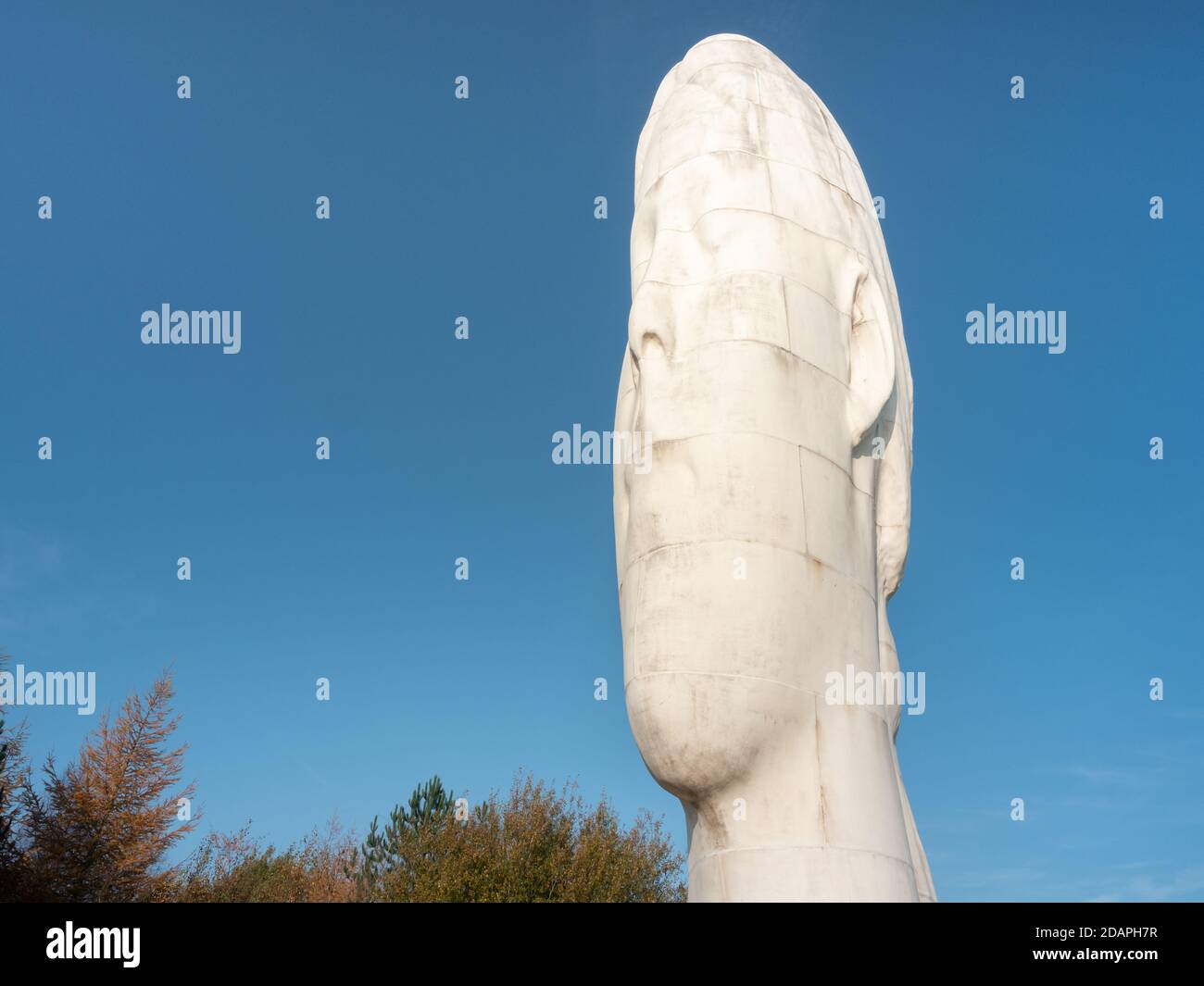 Sutton Manor Woods, home to the Dream Sculpture and previously the home ...