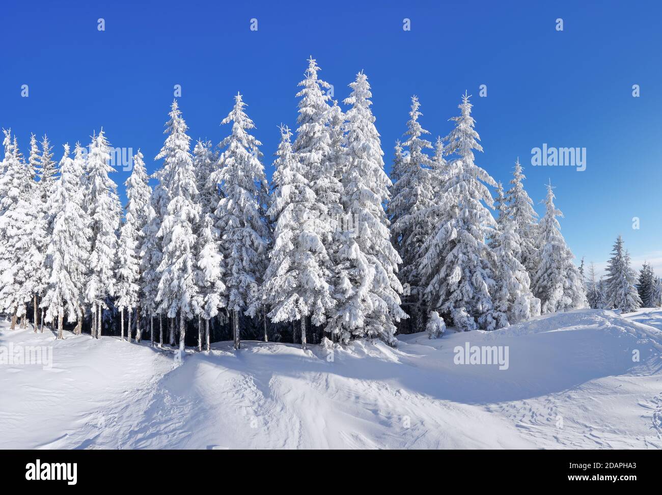 Rime snow scenery winter snow scenery winter snow scenery hi-res stock ...