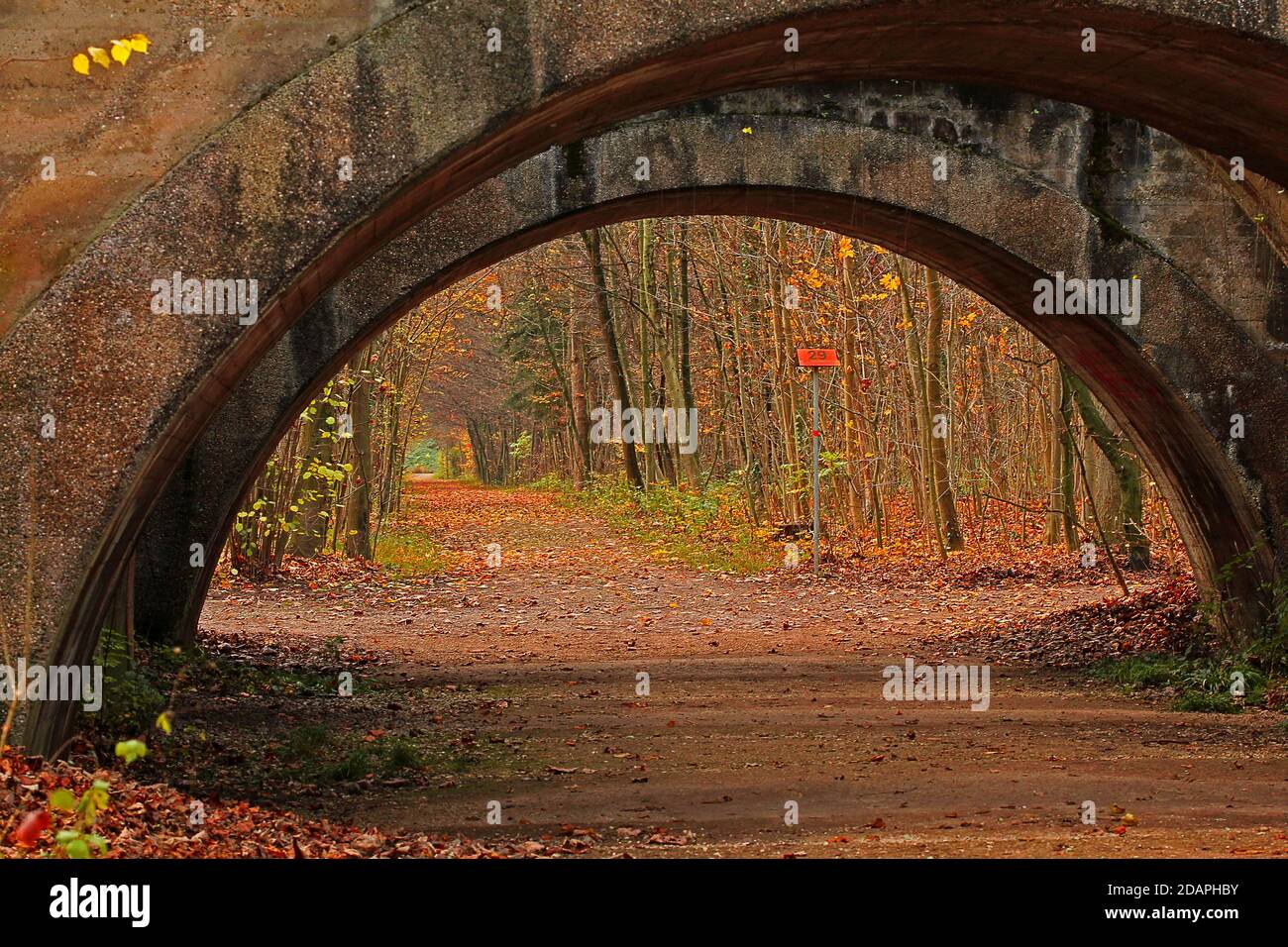 Autumn colors in Basel Switzerland Stock Photo - Alamy