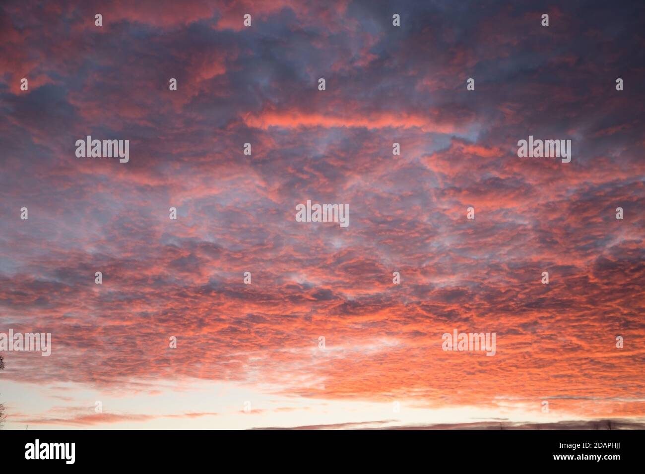 Beautiful red-orange sky with small clouds at sunset. Horizontal ...