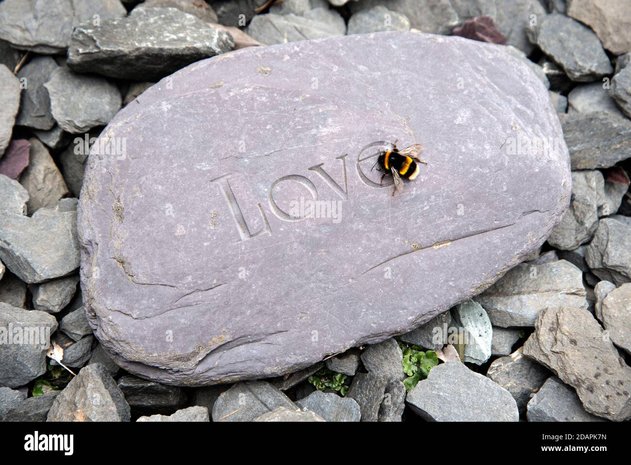 Flying stone hi-res stock photography and images - Alamy
