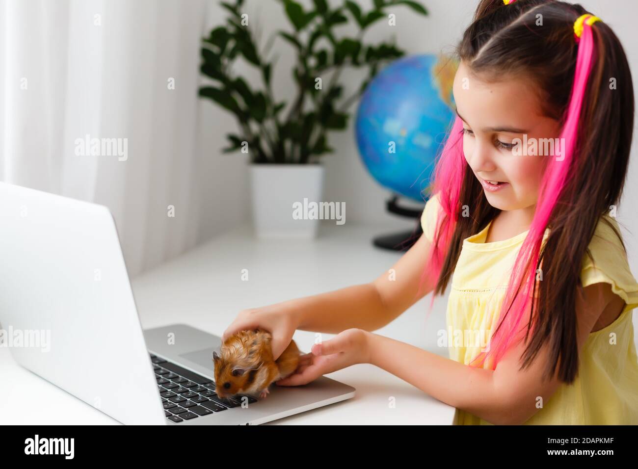Pet hamster computer mouse hi-res stock photography and images - Alamy