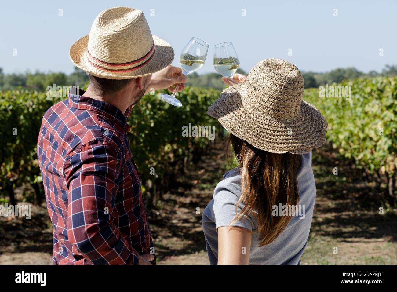 Raised wineglass hi-res stock photography and images - Alamy