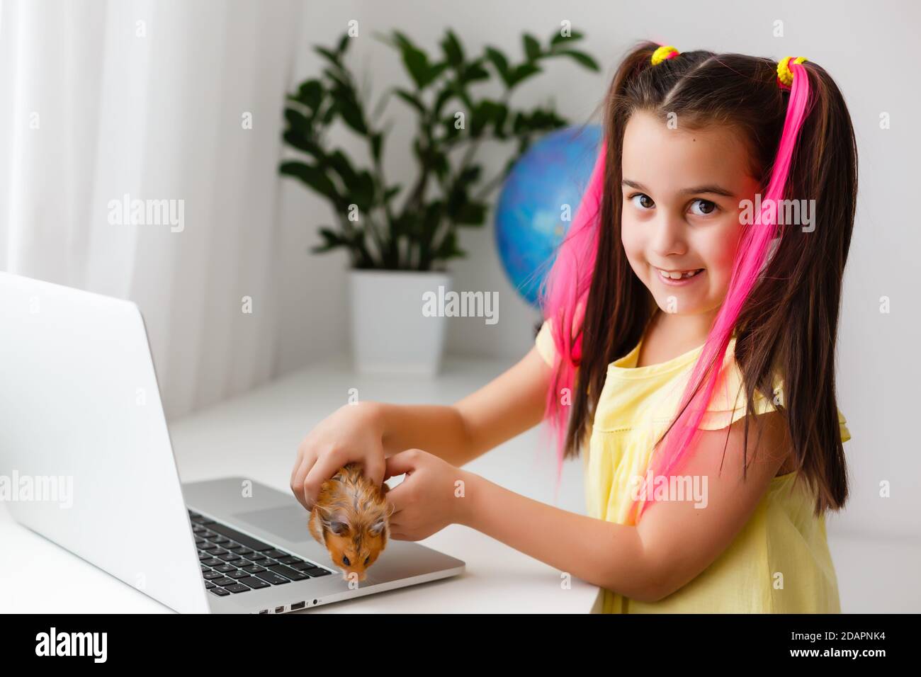 Cheerful young little girl with a pet hamster using laptop computer ...
