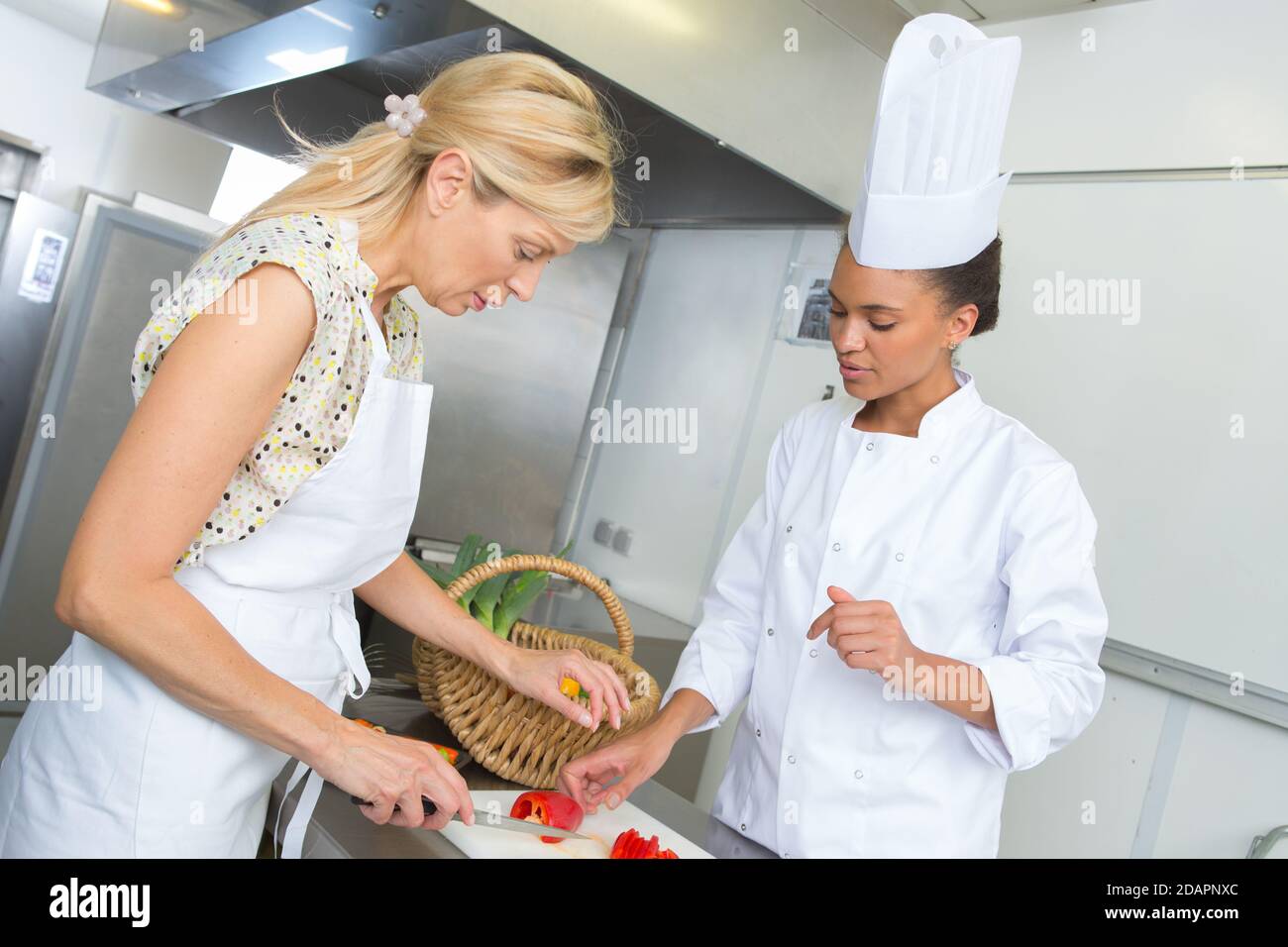 two female chefs working together Stock Photo - Alamy