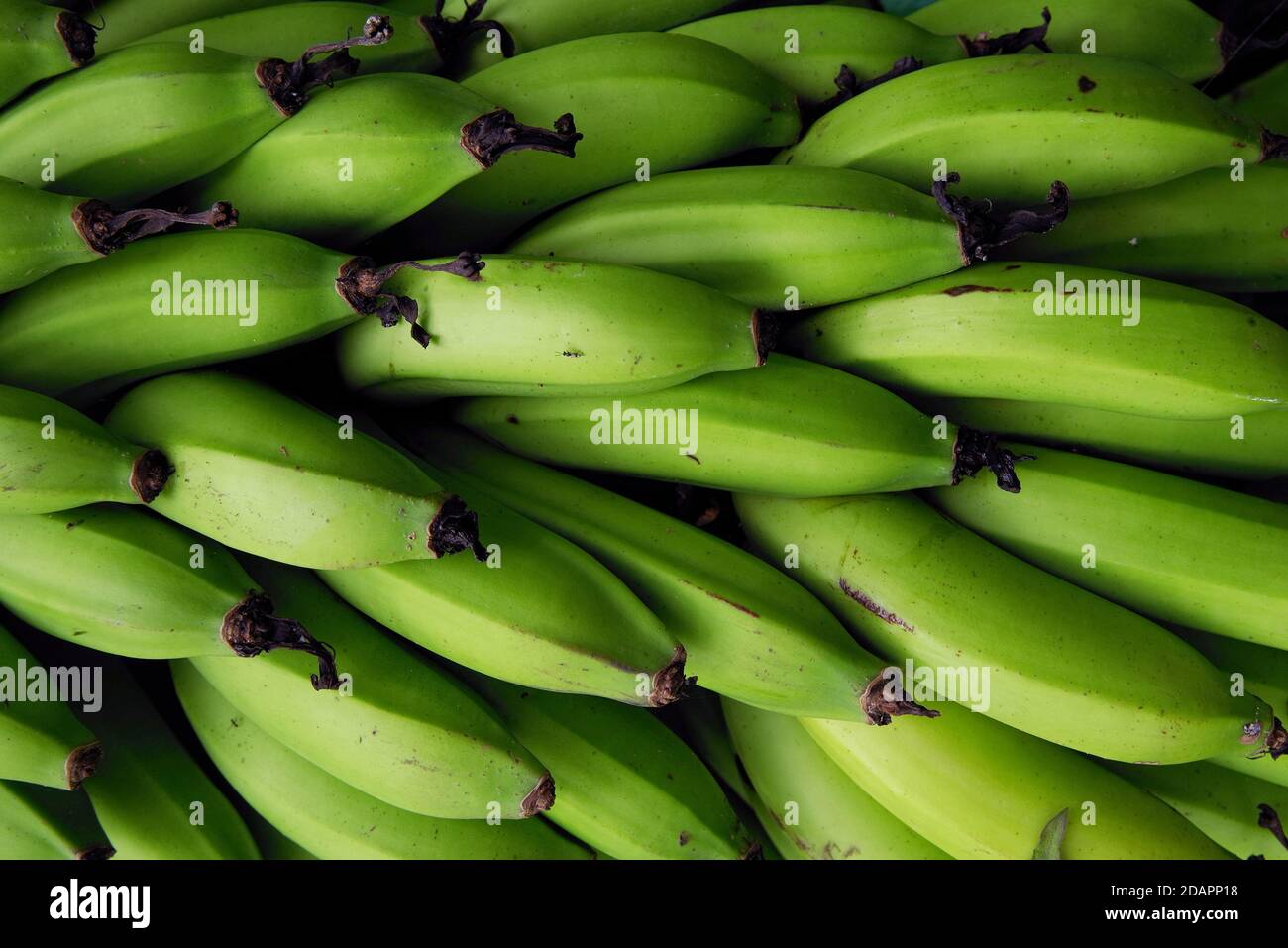 Harvested bananas in Colombia, South America Stock Photo - Alamy