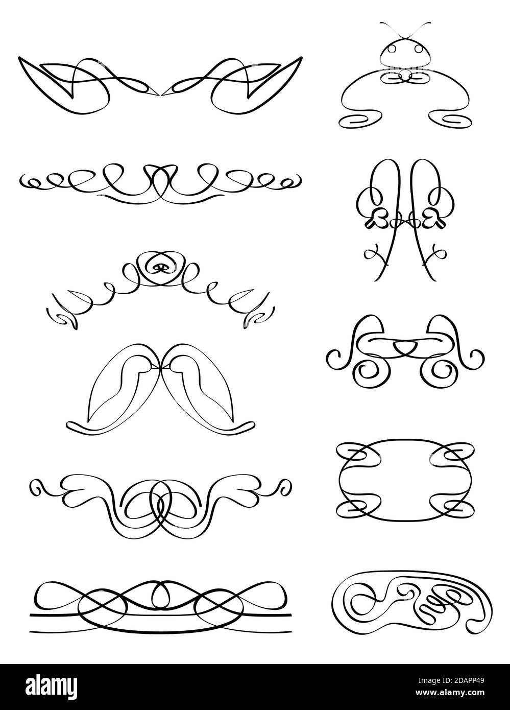 Swan Love Clipart Dividers
