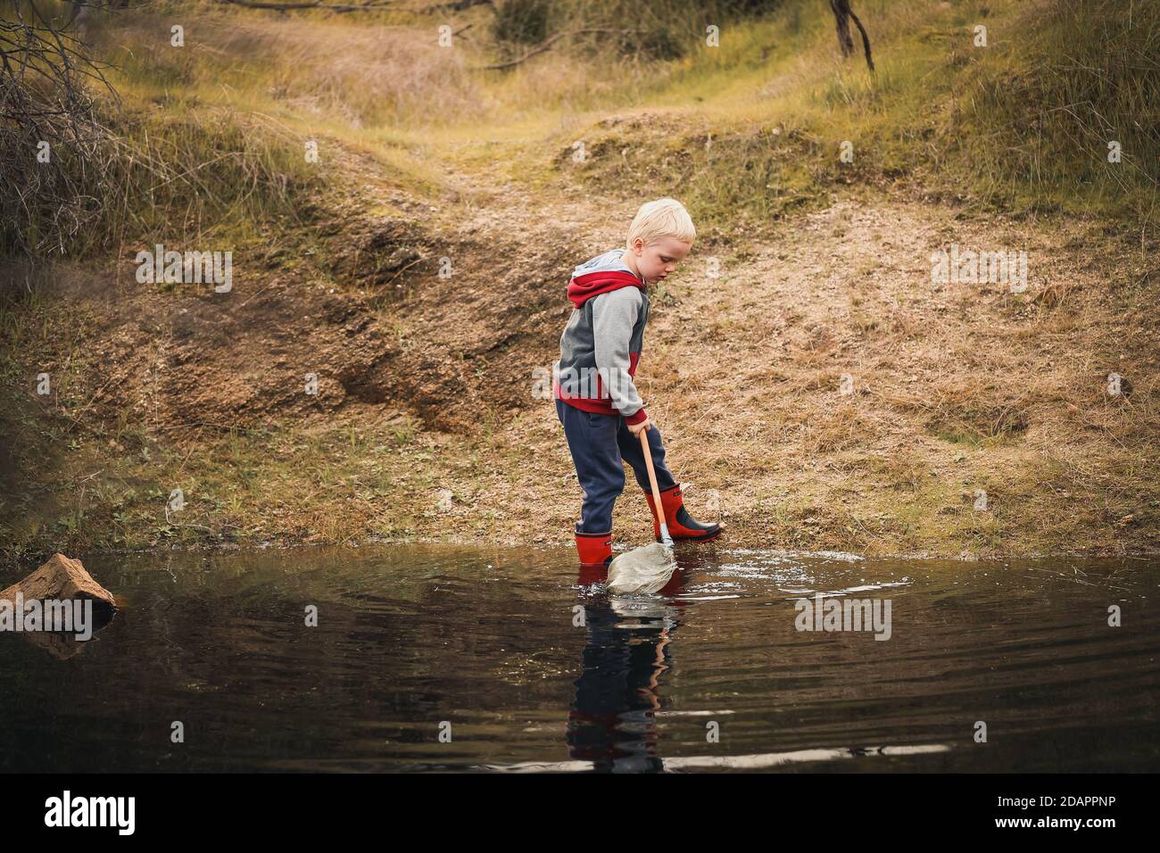 Blonde child trying to catch some fish with a hand net Stock Photo - Alamy