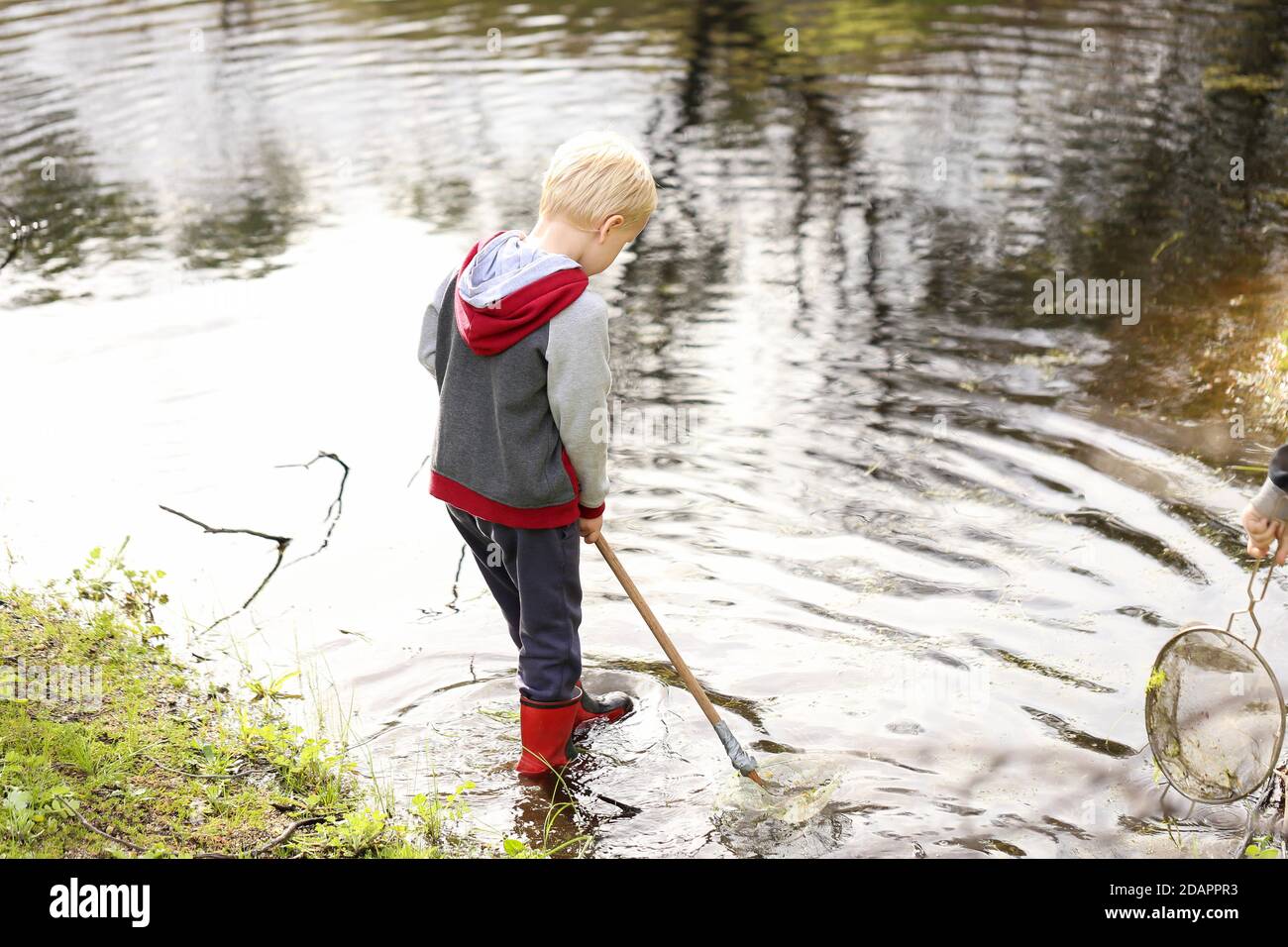 Blonde child trying to catch some fish with a hand net Stock Photo - Alamy