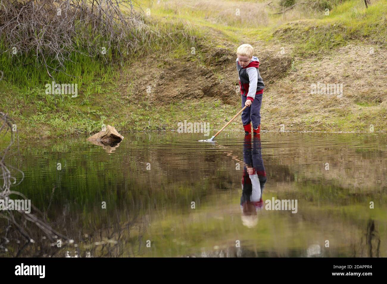 Blonde child trying to catch some fish with a hand net Stock Photo - Alamy