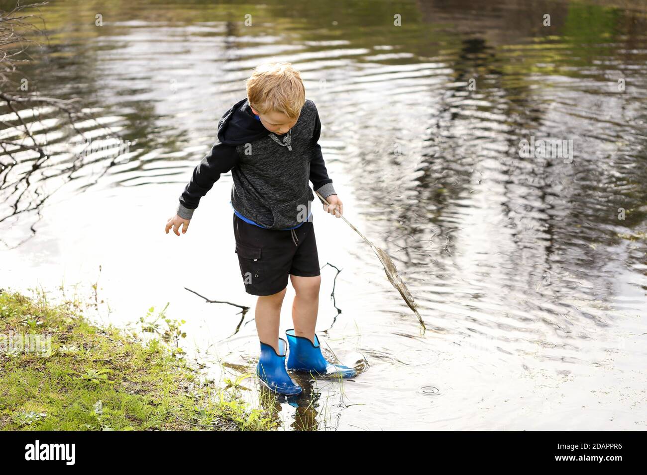 Blonde child trying to catch some fish with a hand net Stock Photo - Alamy