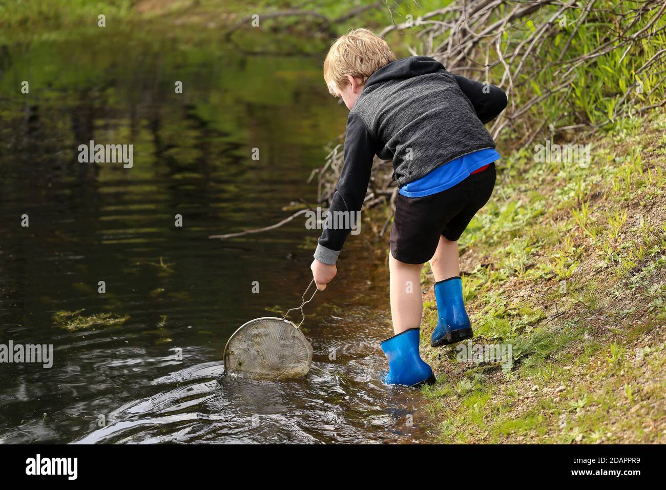 Blonde child trying to catch some fish with a hand net Stock Photo - Alamy