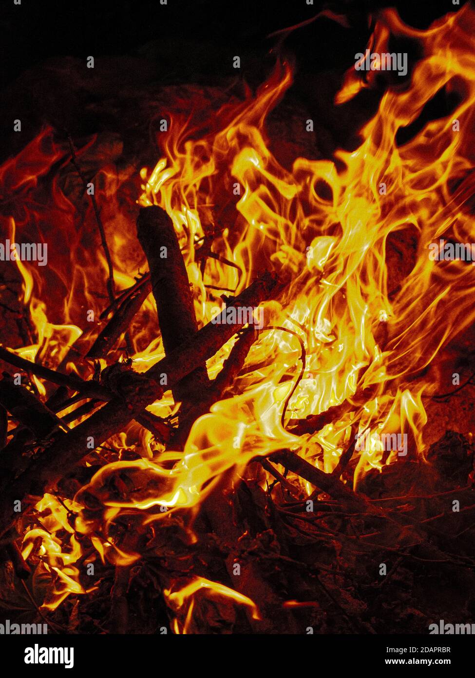 Vertical shot of a burning fire in flames in the darkness Stock Photo ...
