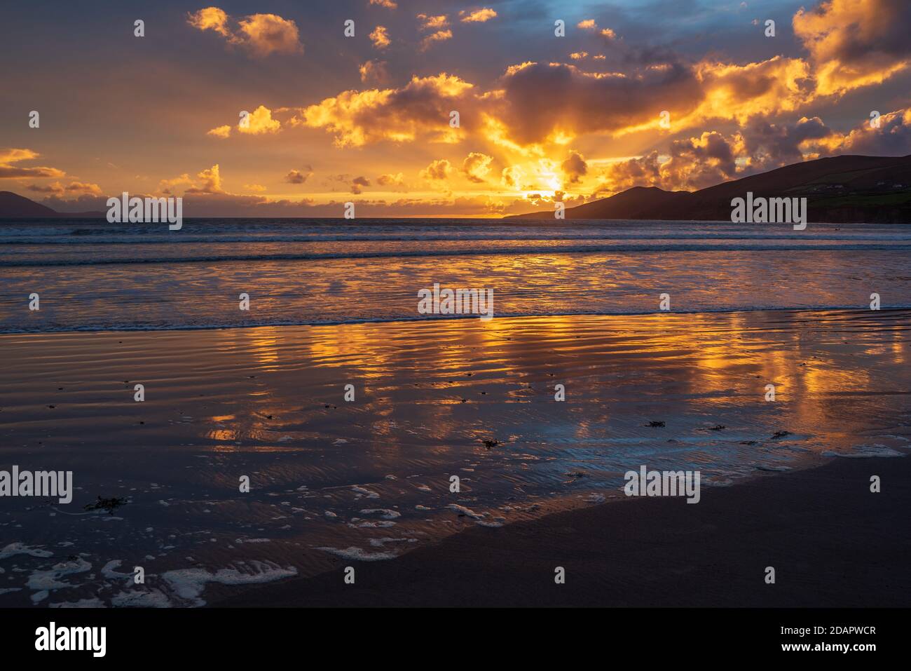 A magic sunset looking out over inch beach on the Dingle Peninsula ...
