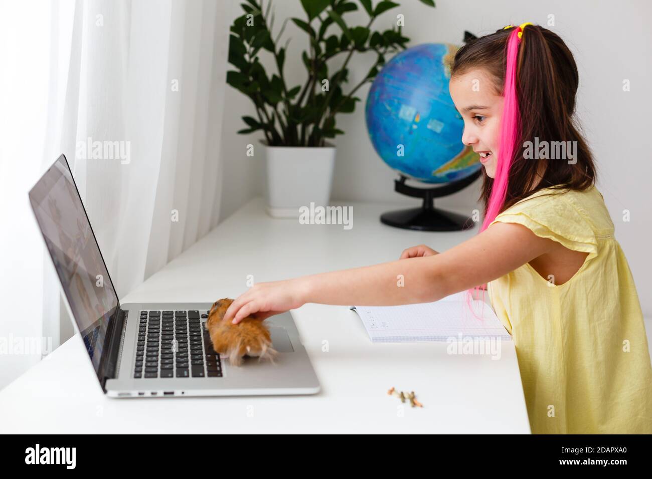 Educate at home. Child girl make homework with pet hamster. Funny ...