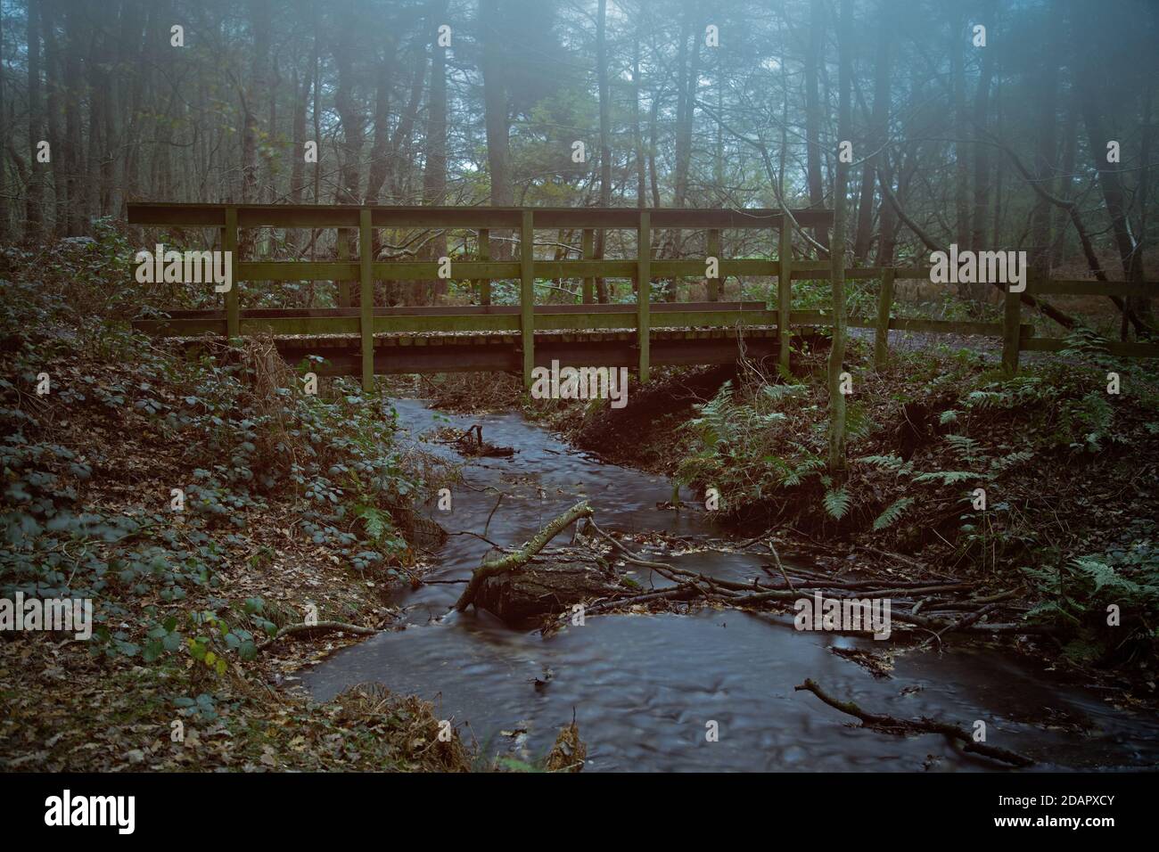 Natural stream running through the woodland towards a man made wooden ...