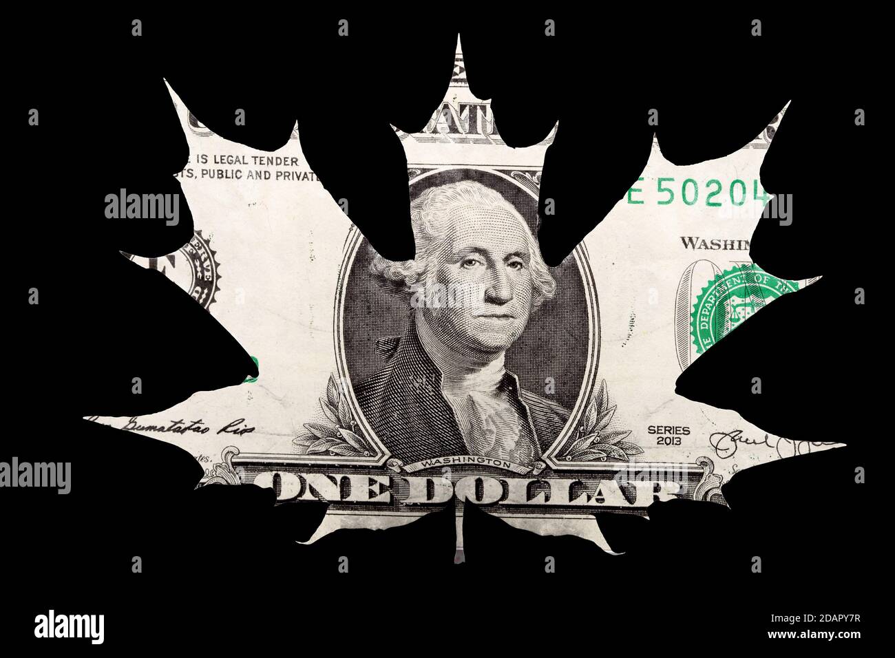 American dollar leaf shape isolated on black background Stock Photo - Alamy
