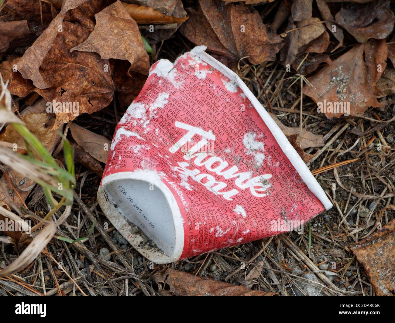 A discarded Tim Hortons paper coffee cup. Quebec,Canada Stock Photo - Alamy