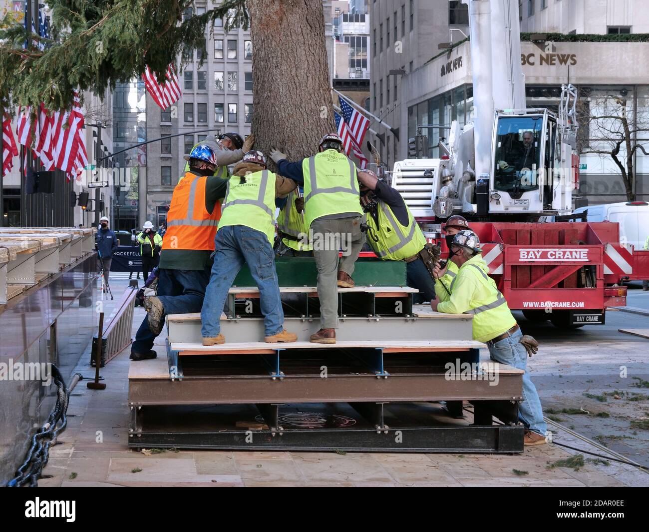 New York, New York, USA. 14th Nov, 2020. 75 foot tall Norway Spruce ...