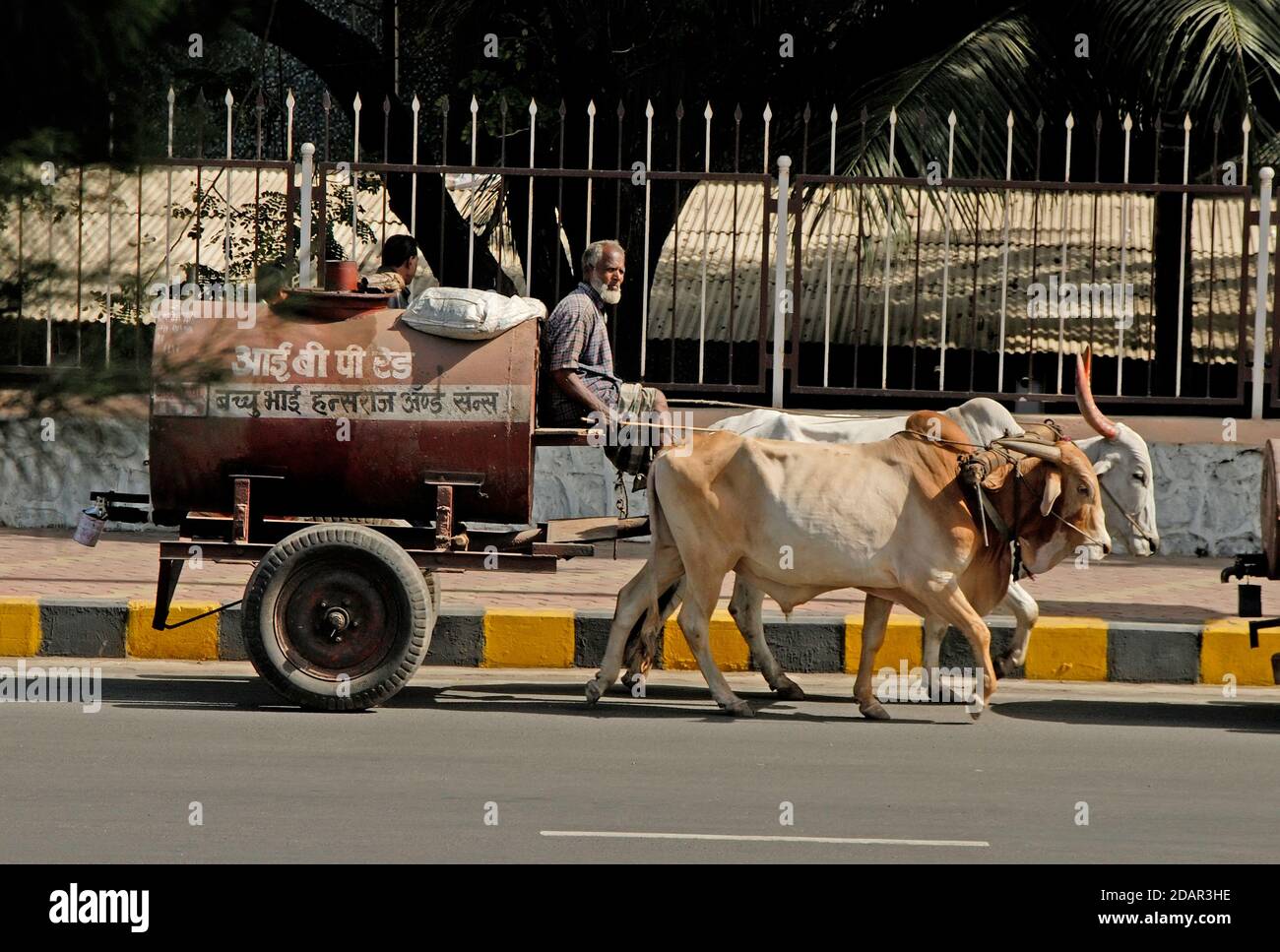 Oxen wagon hi-res stock photography and images - Alamy