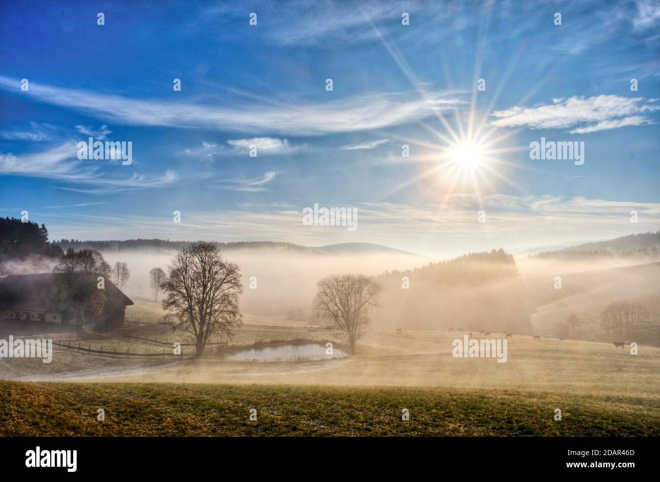 Foggy atmosphere in the morning in Einsiedel, Farm with pond, Einsiedel ...