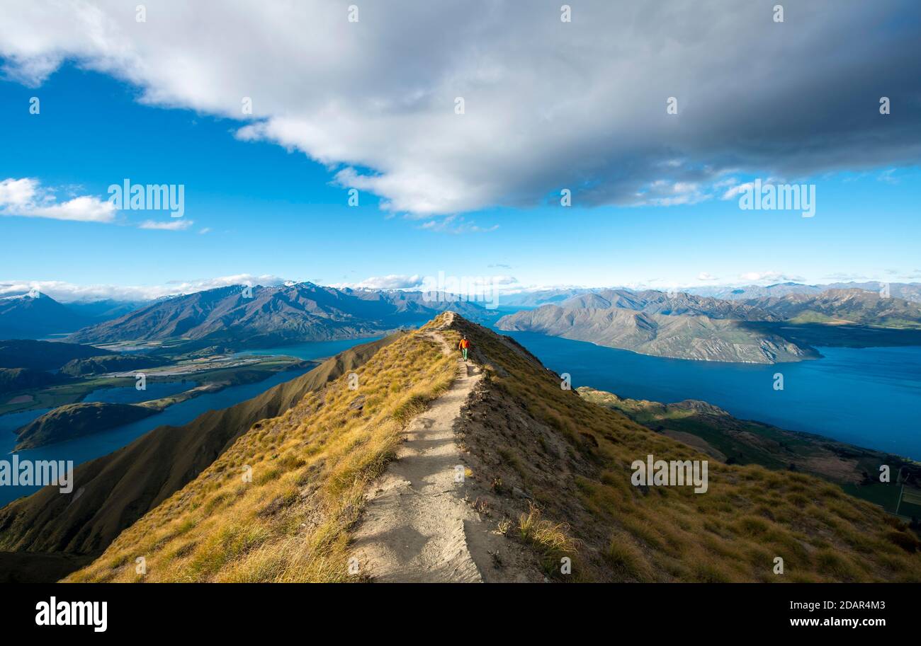Hiker on a ridge, view of mountains and lake from Mount Roy, Roys Peak ...