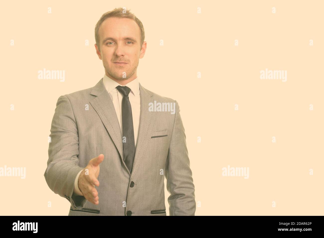 Portrait of handsome businessman in suit giving handshake Stock Photo ...