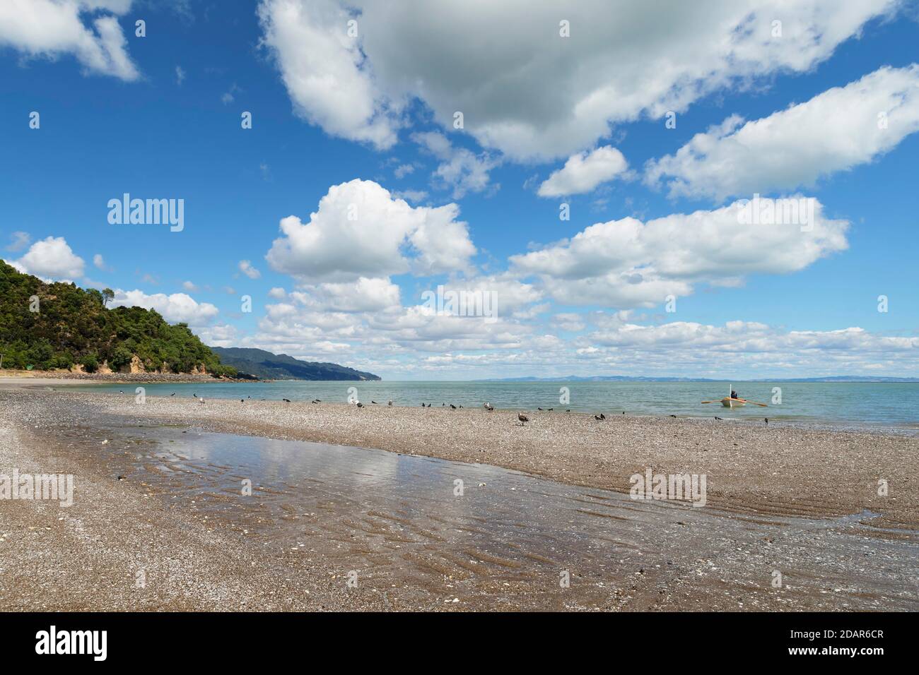 Firth Of Thames High Resolution Stock Photography and Images - Alamy