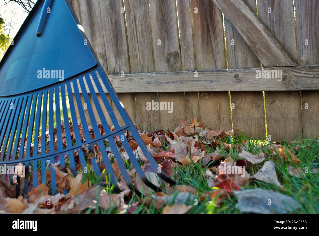 Pile of leaves and a rake leaning against a fence fall background Stock ...